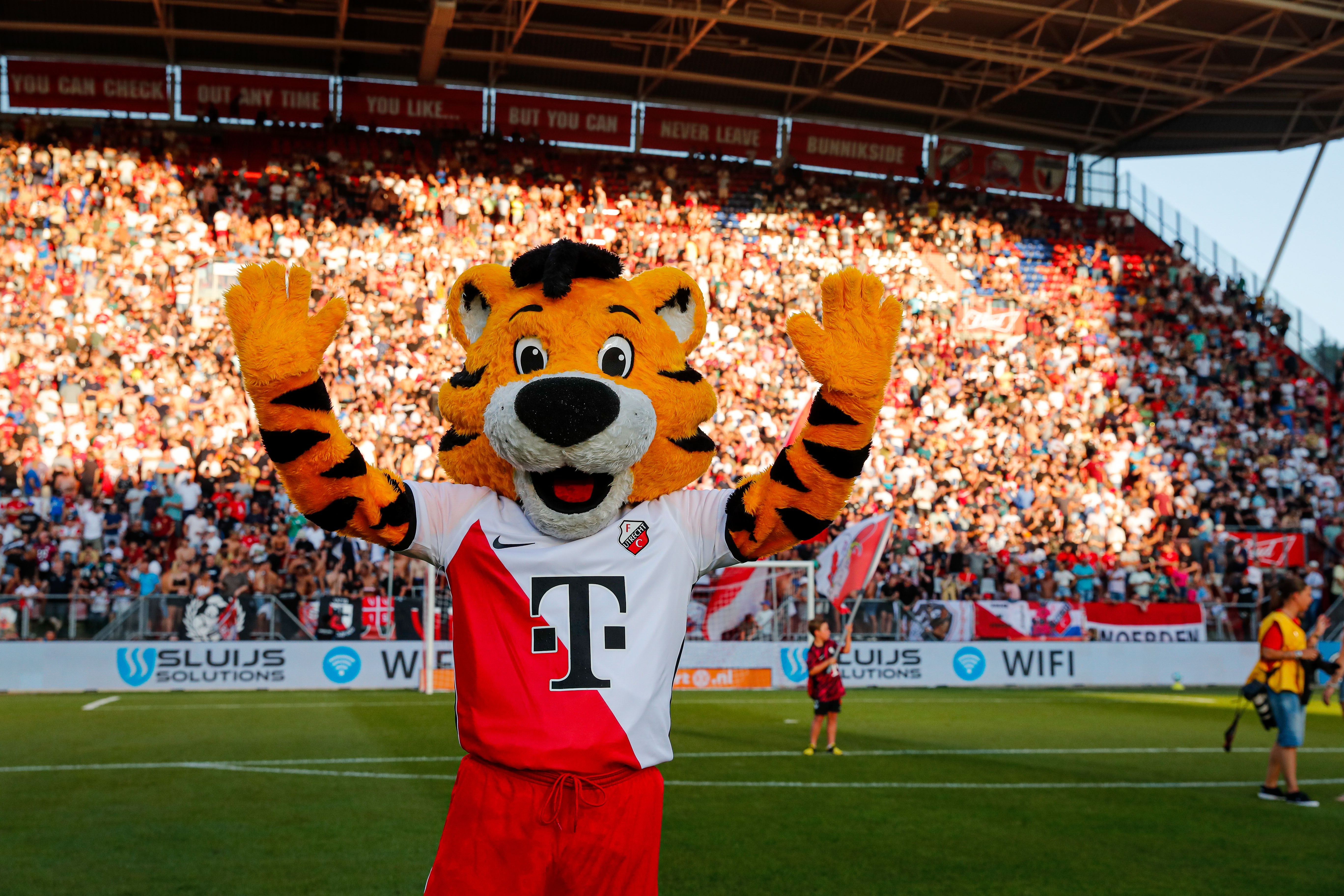 Junior Tigers