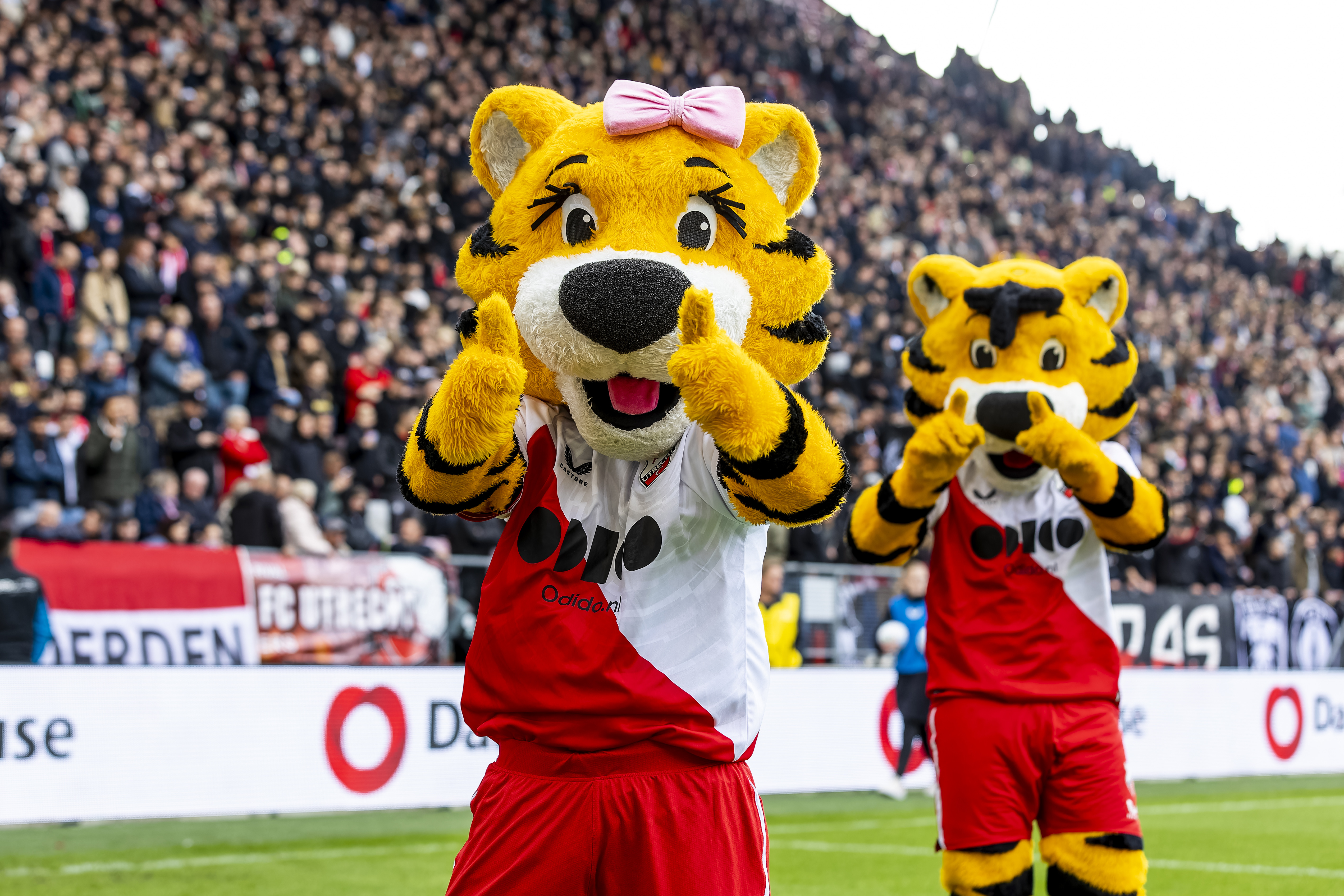 Junior Tigers